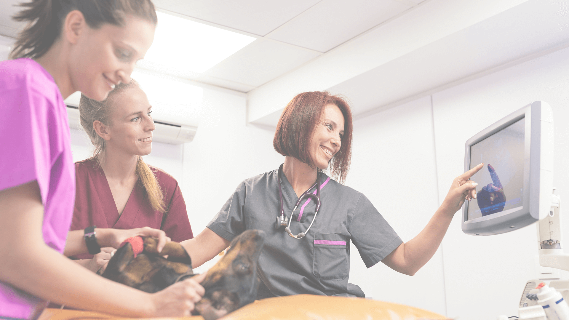 Enabling women in veterinary science | Skills Alliance